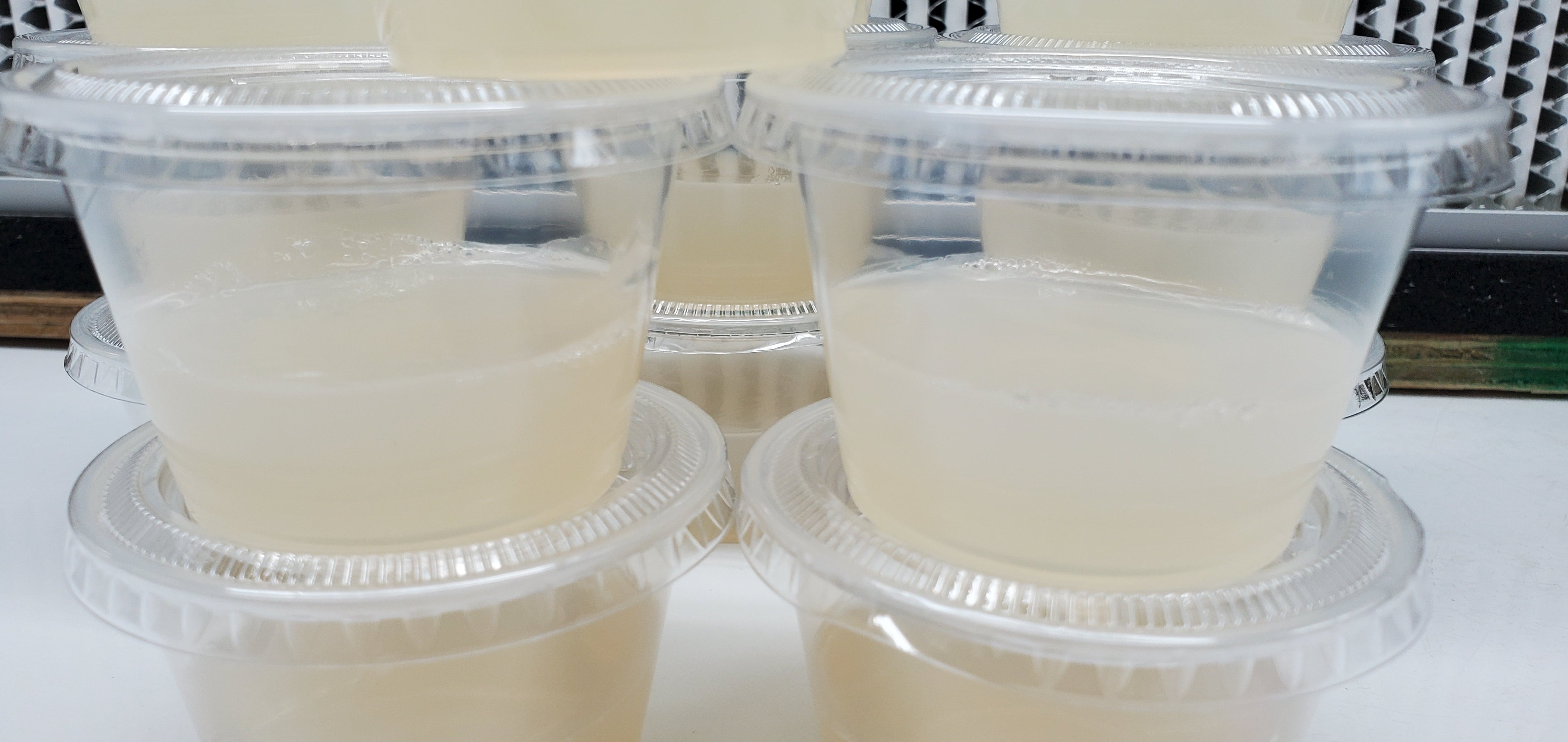 Plant Culturing Made Easy With Our Nutrient Gel Culturing Cups ...